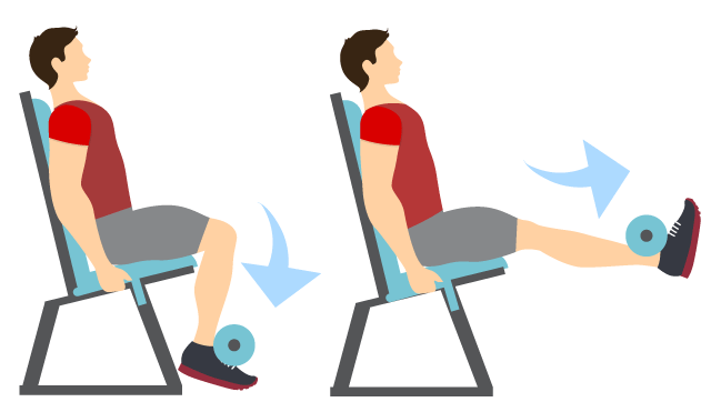 Leg Extension Standards